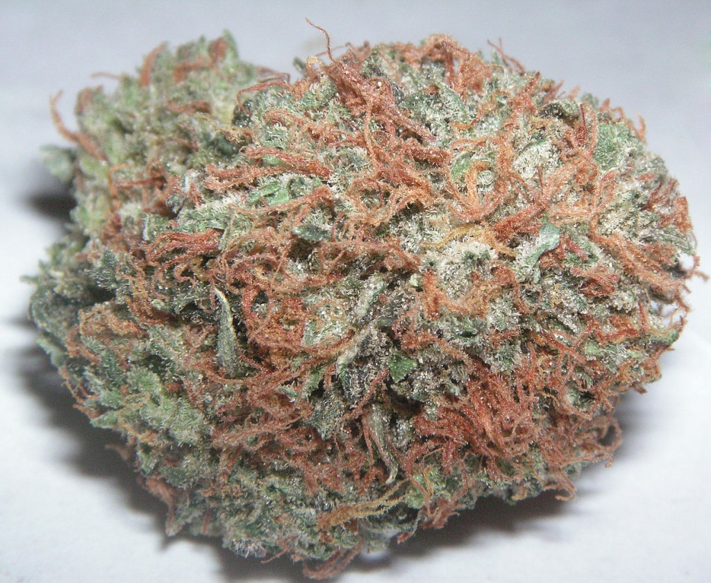 My Favorite Strains: Bubba Kush - Weedist
