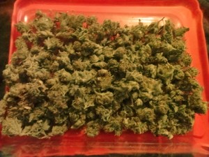 Triple Diesel, looking pretty nice