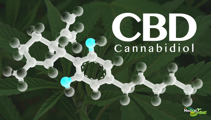 CBD-Only Legislation Will Likely Be Unworkable For Most Patients - Weedist
