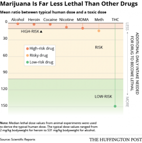 Additionally, the non-risk that cannabis truly poses supports a legal ...