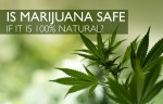 A study recently came out backing up what pro-cannabis advocates have ...