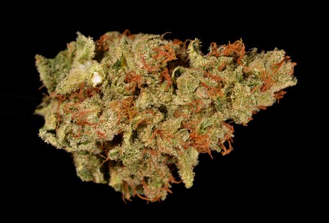 6. Afghan Mango (aka Mango Afghani)