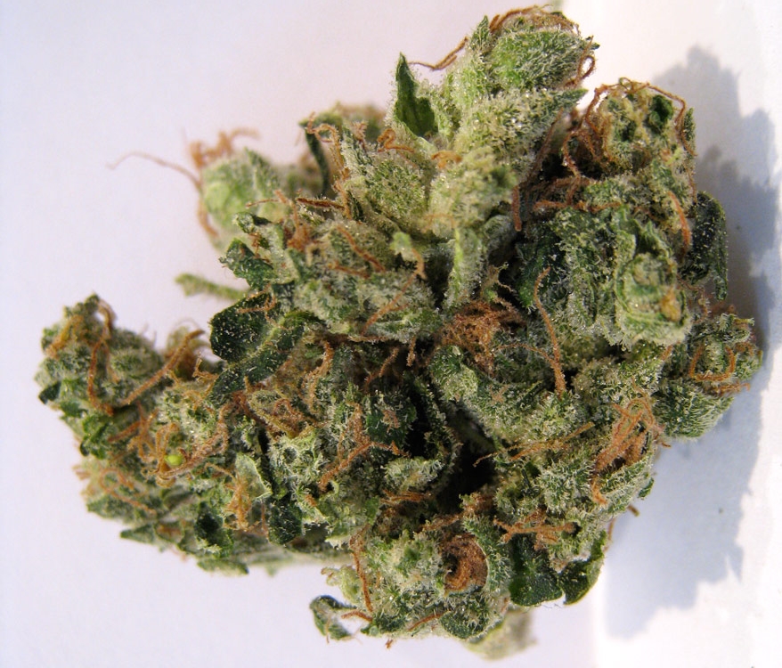 4. NYC Diesel